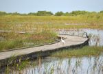 Sea Rim State Park “Sun and the Beach” – Little Adventures